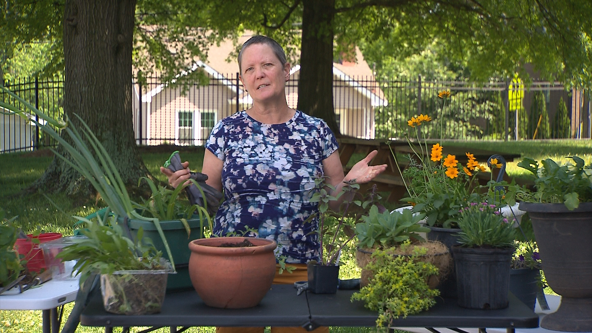 Volunteer Gardener