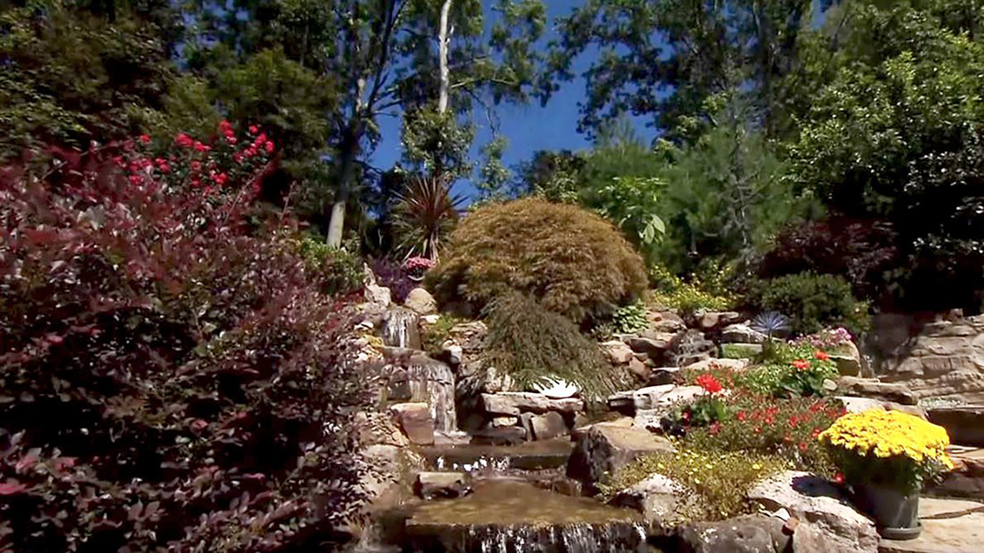 Volunteer Gardener
