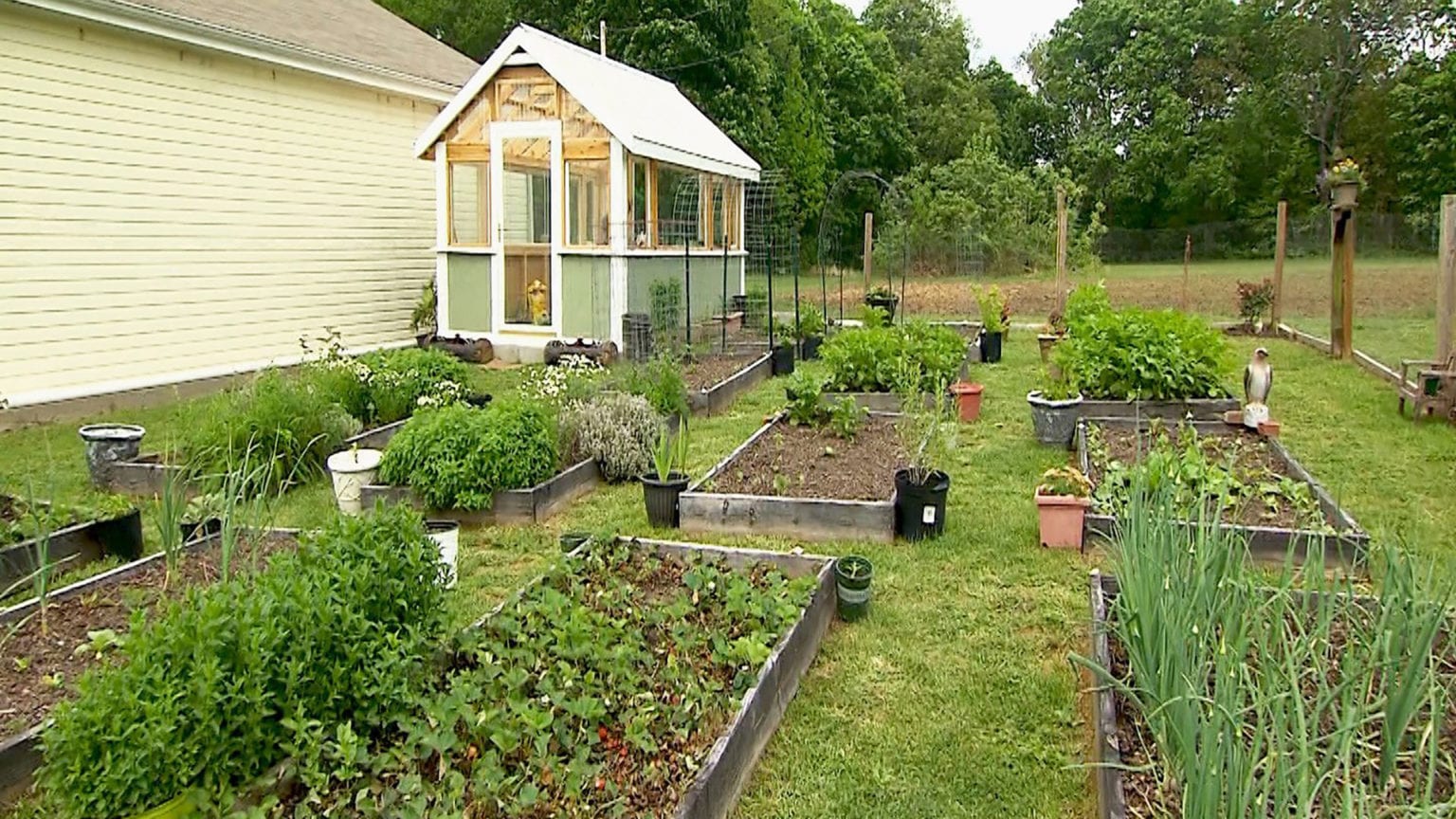 Volunteer Gardener
