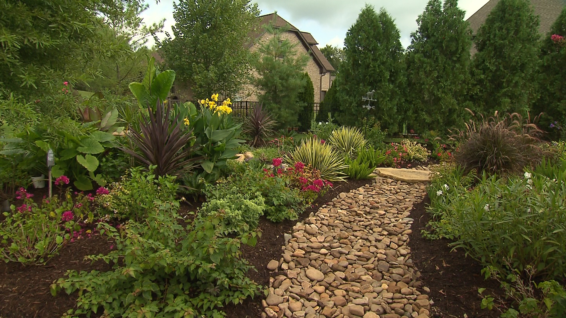 Volunteer Gardener