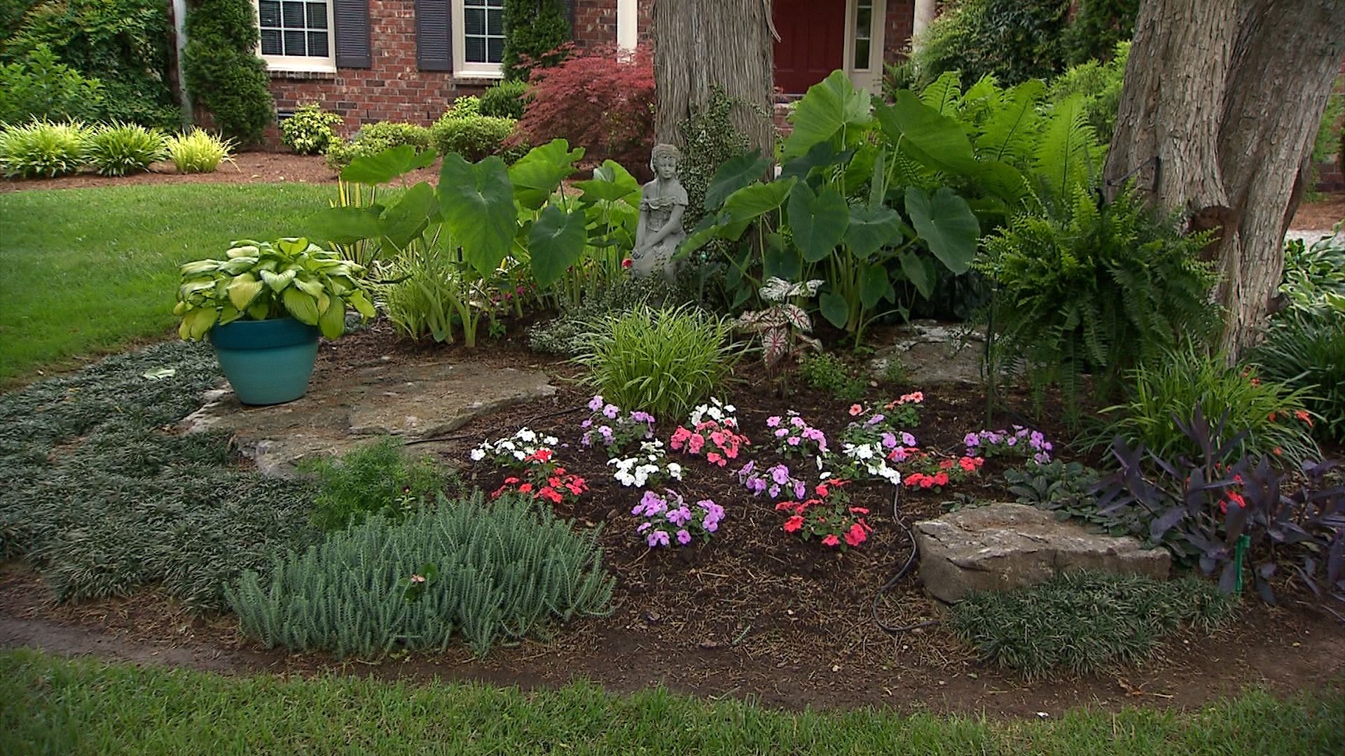Volunteer Gardener